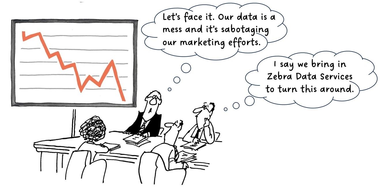 Data Hygiene Data Hygiene